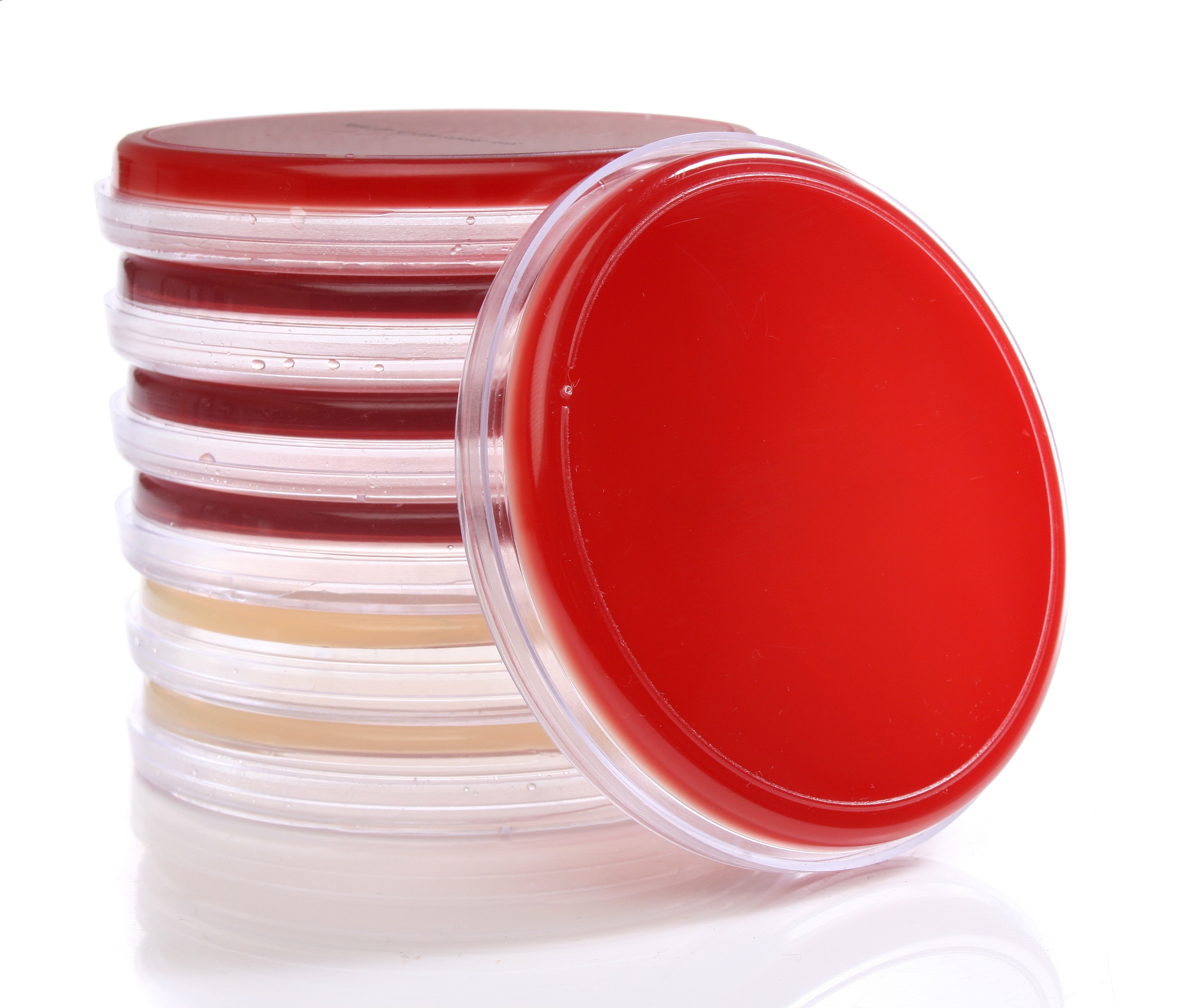 Gélose R2A (20 boîtes de 90 mm)